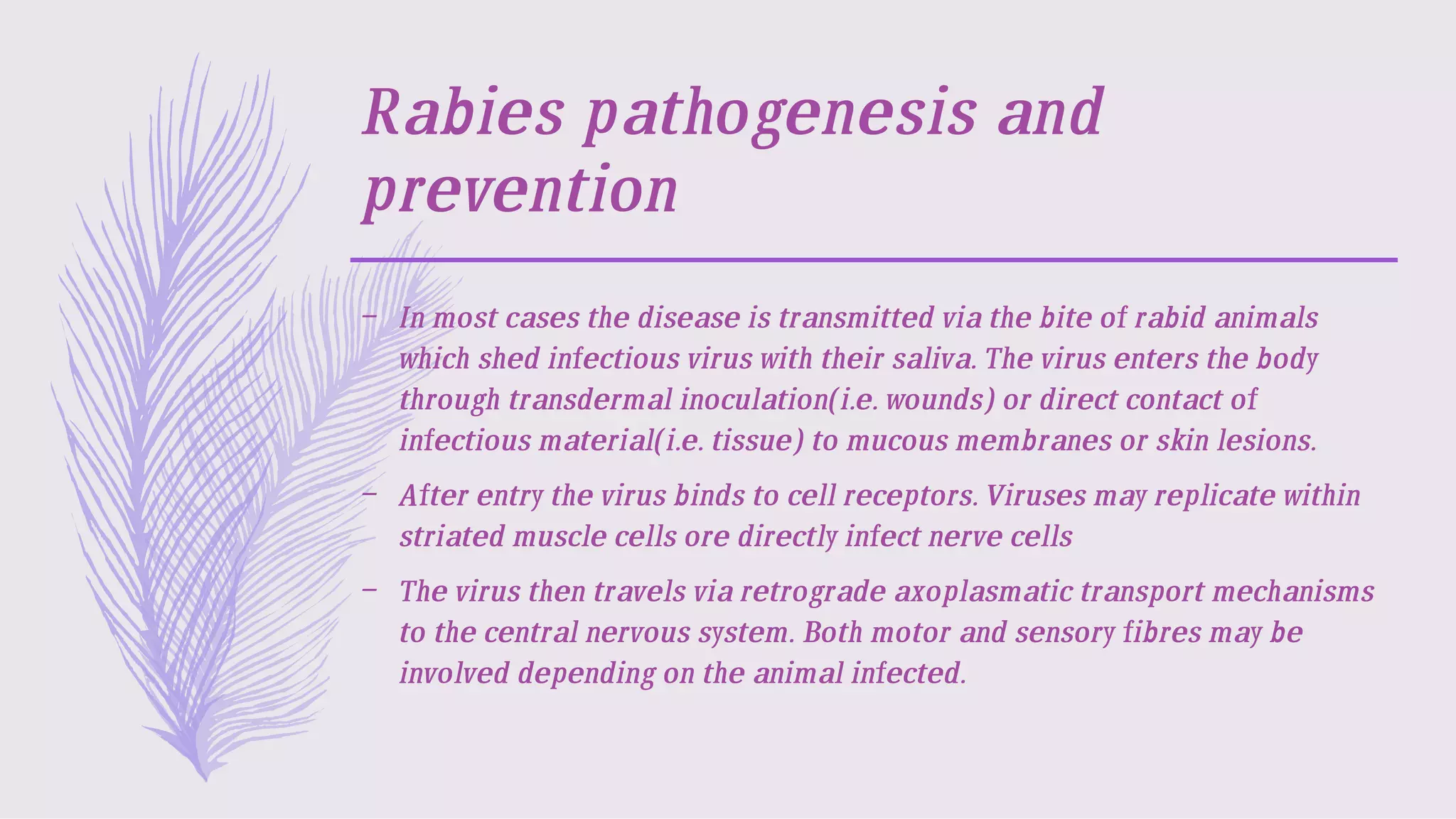 What is rabies | PDF