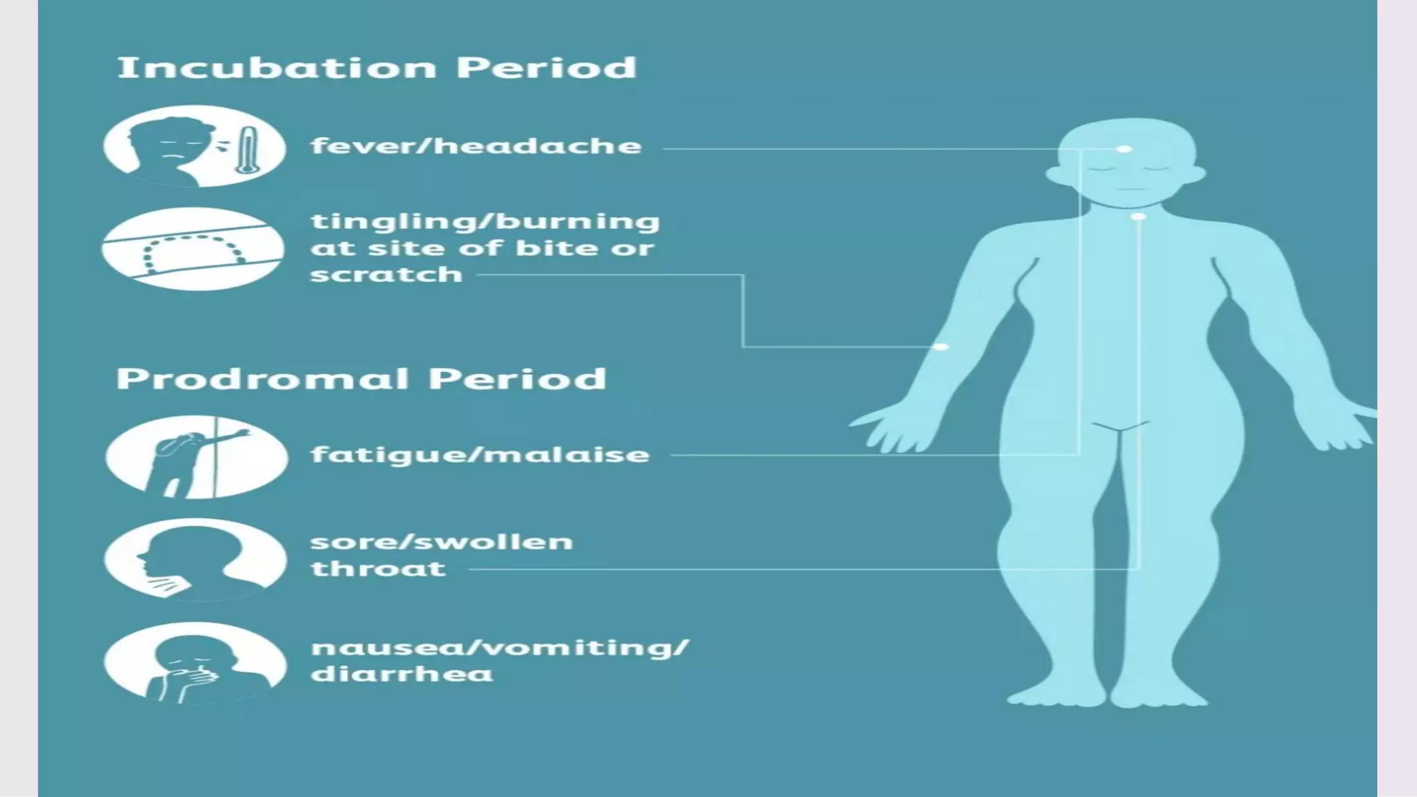 What is rabies | PDF