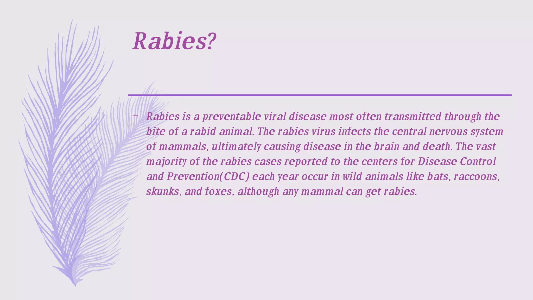 What is rabies | PDF