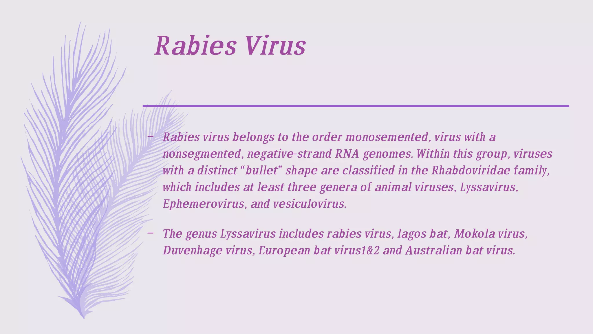 What is rabies | PDF