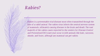 What is rabies | PDF | Infectious Diseases | Diseases and Conditions