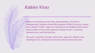 What is rabies | PDF