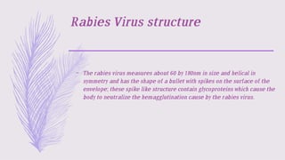 What is rabies | PDF