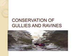 What is ravine.ppt