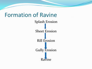 What is ravine.ppt
