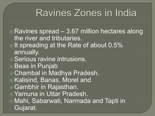 What is ravine.ppt