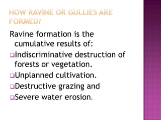 What is ravine.ppt