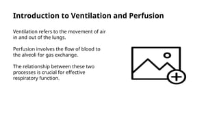 What Is Relationship Between Ventilation And Perfusion.pptx