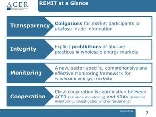 tew (09.10.18) - What is remit, wholesale market monitoring under remit ...