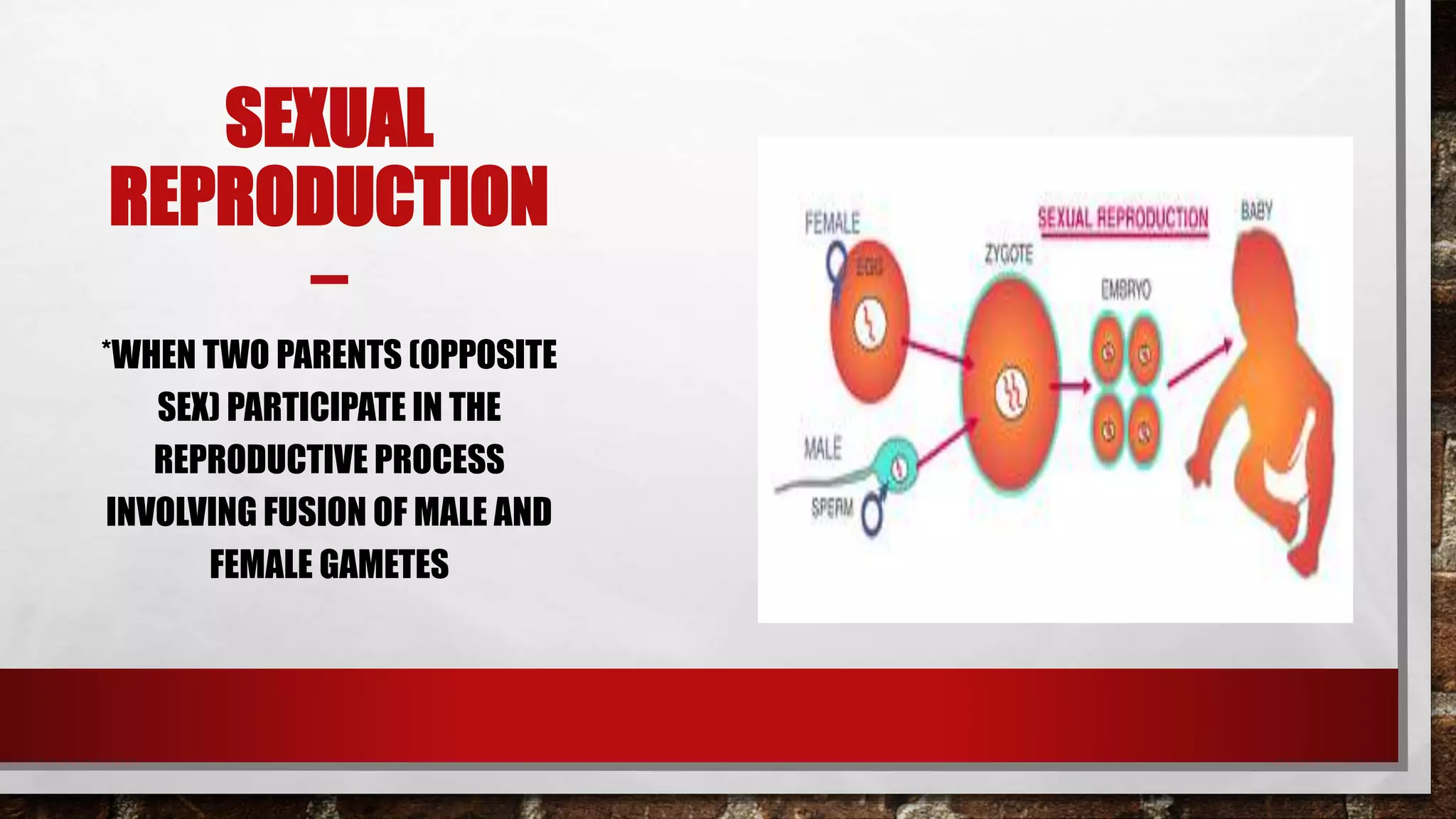 What is reproduction | PPT