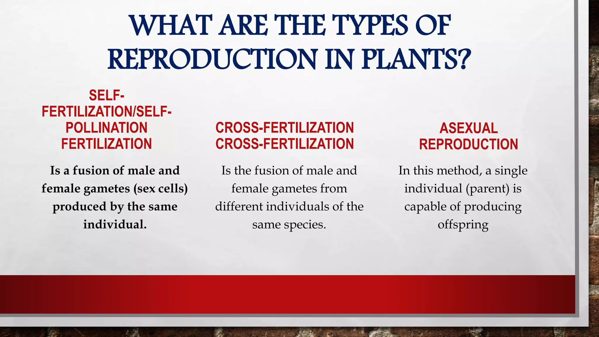 What is reproduction | PPT