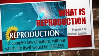 What is reproduction | PPT