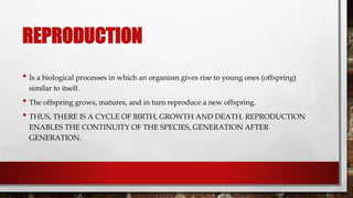 What is reproduction | PPT