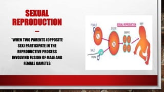 What is reproduction | PPT