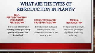 What is reproduction | PPTX