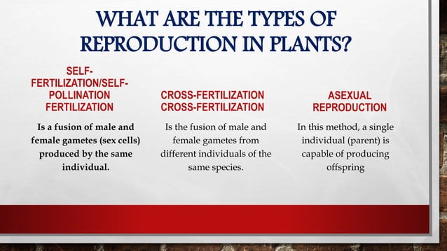 What is reproduction | PPT