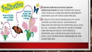 What is reproduction | PPT