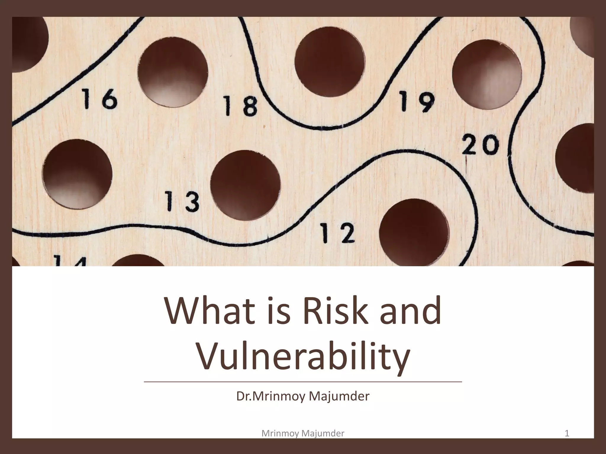 What is Risk and Vulnerability.pdf