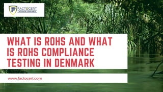 What Is RoHS And What Is RoHS Compliance.pdf