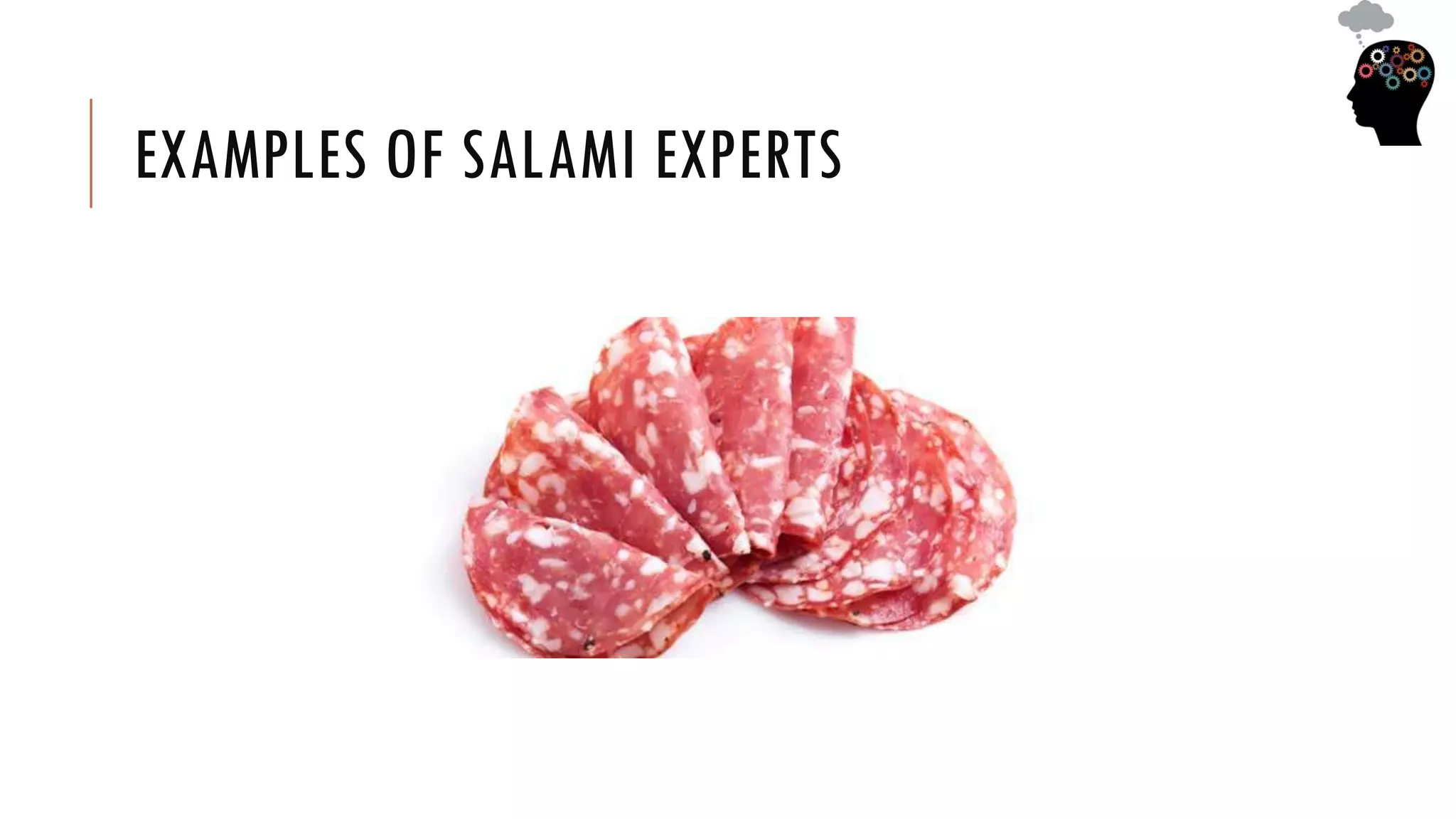 What is salami slicing | PDF