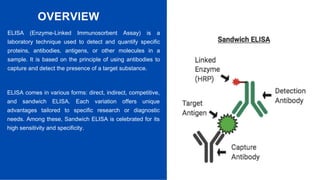 What is Sandwich ELISA - CytoScientific | PPT