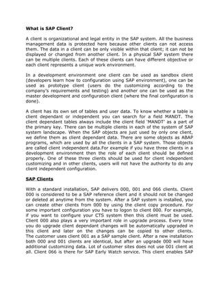 What is sap client | DOC | Computing | Technology & Computing