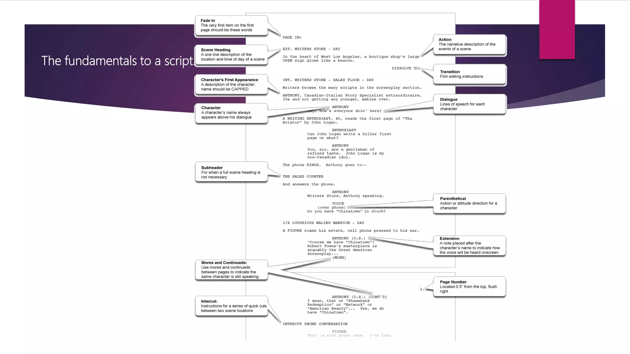 What is script writing | PPTX