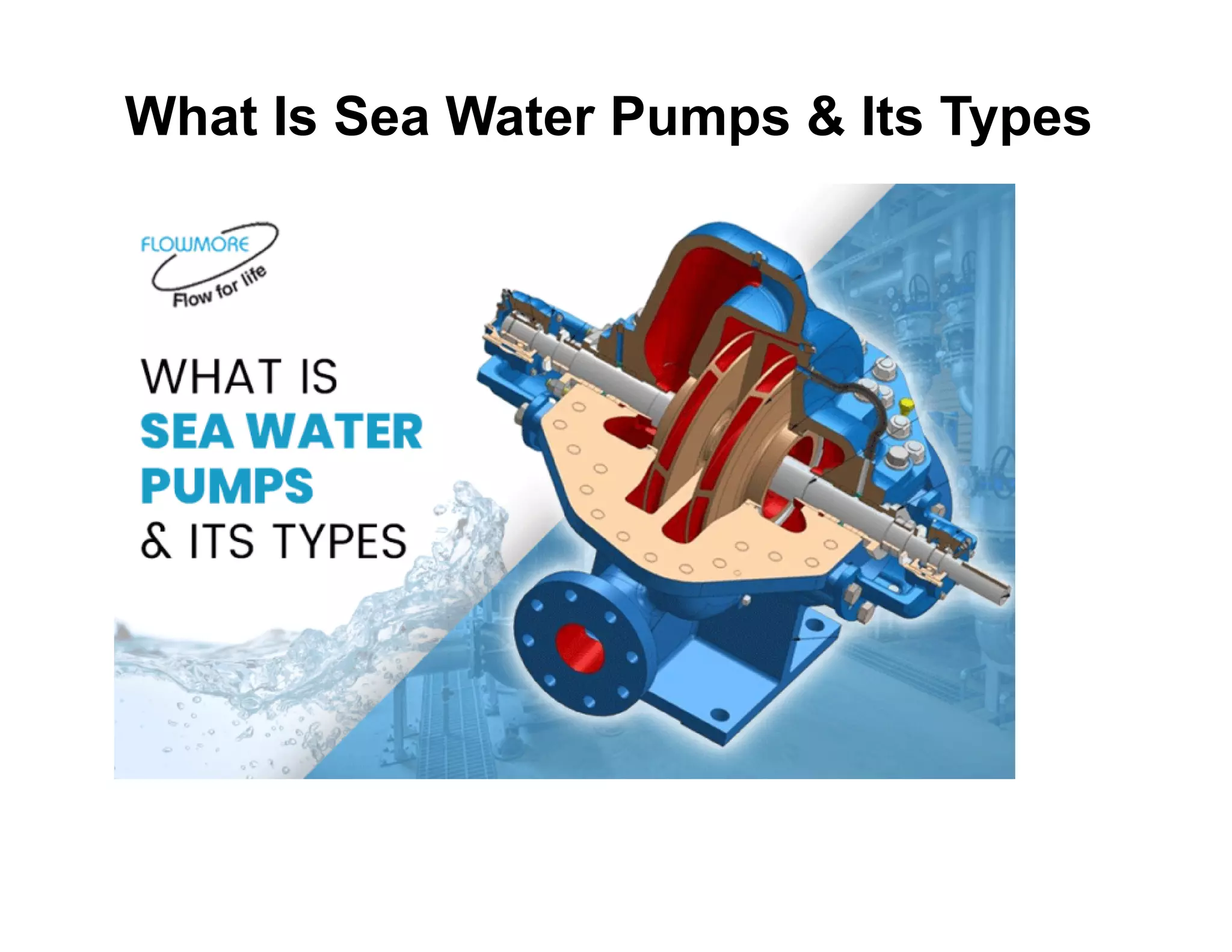 What Is Sea Water Pumps & Its Types | PDF