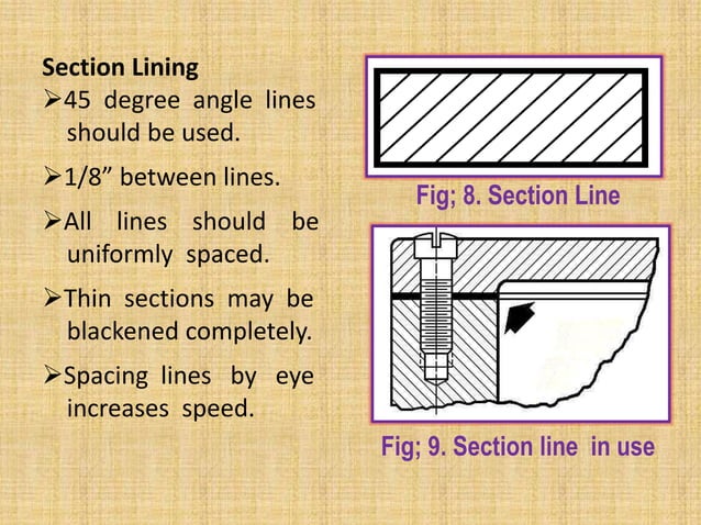 What is section views | PPTX