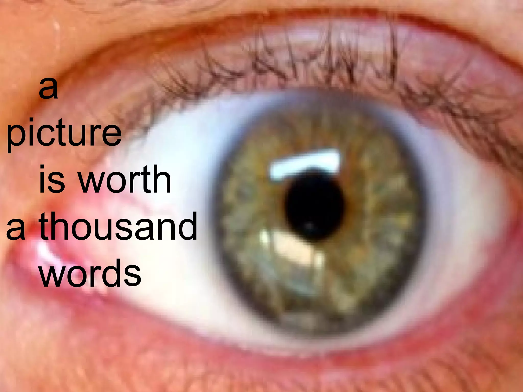 What Is Seeing | PPT