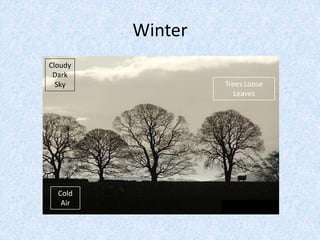 What Is The Sky? | PPTX