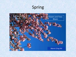 What Is The Sky? | PPTX