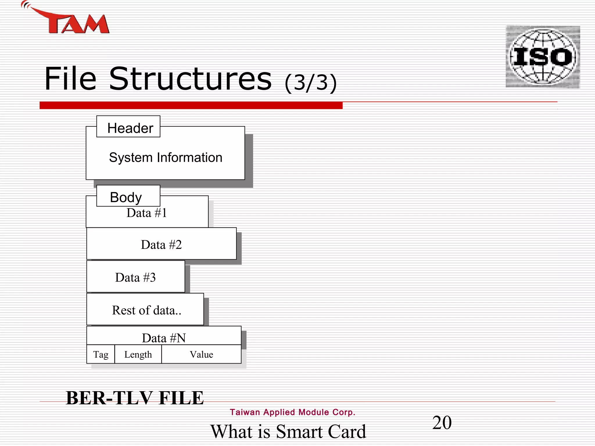 What is smart card on tam | PPT