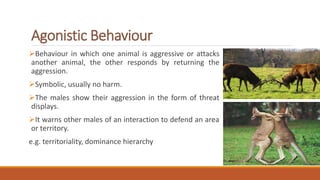 What is Social Behaviour.pptx