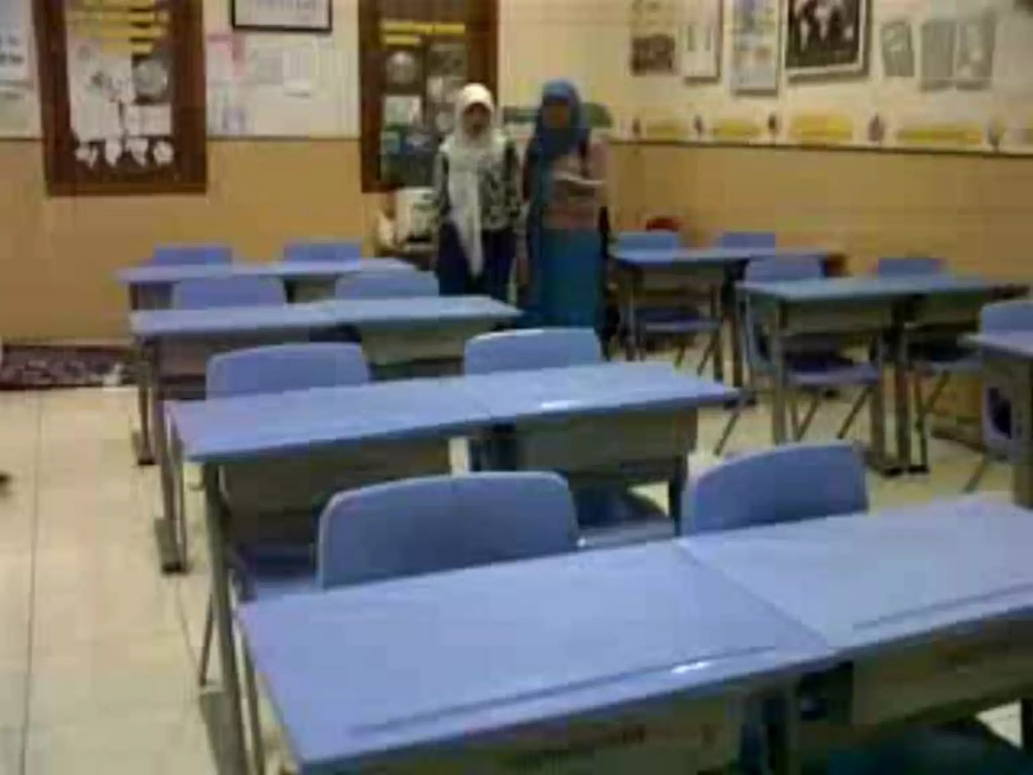 What is social studies | PPTX