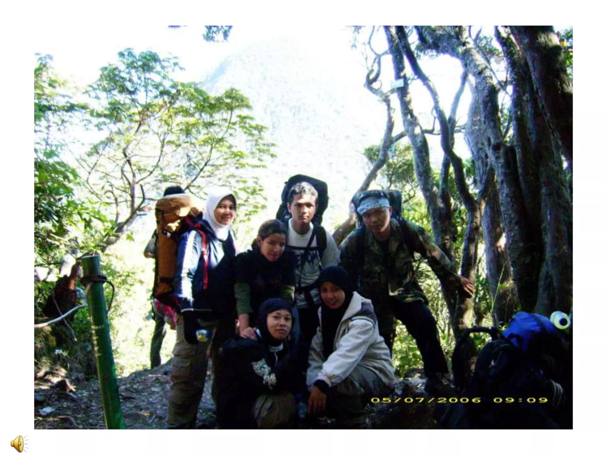 What is social studies | PPTX