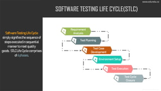 What is Software Testing | Edureka | PDF