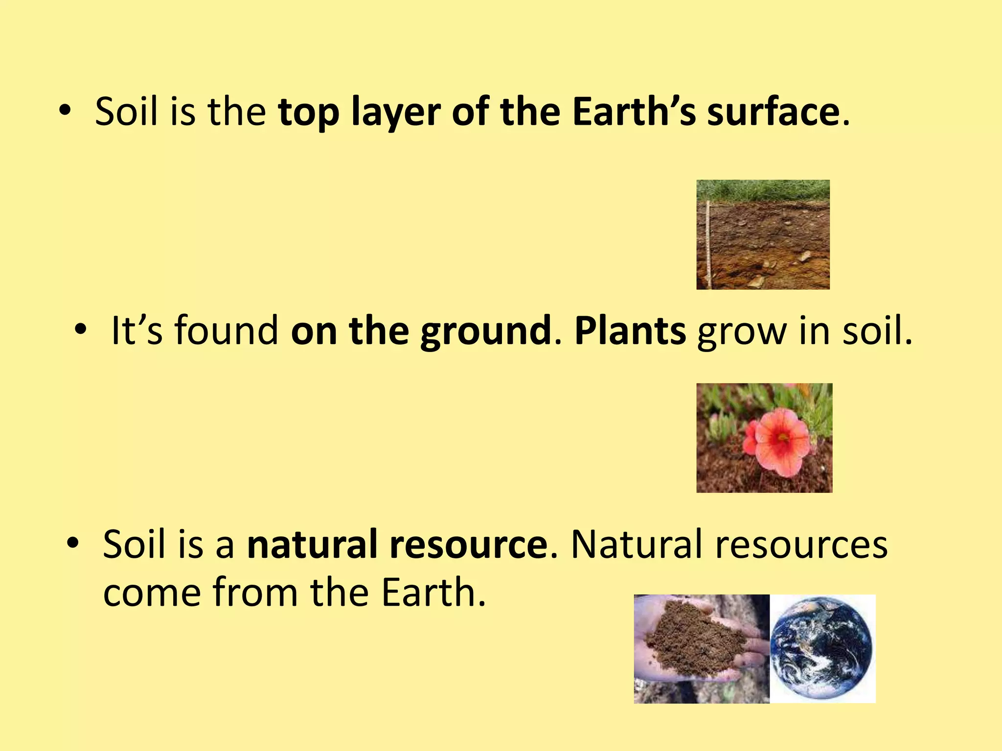 What is soil | PPTX