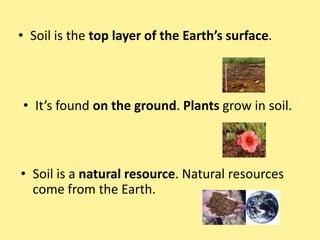 What is soil | PPTX