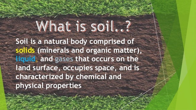 What is soil