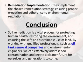What Is Soil Remediation and Why Is It Important.pptx