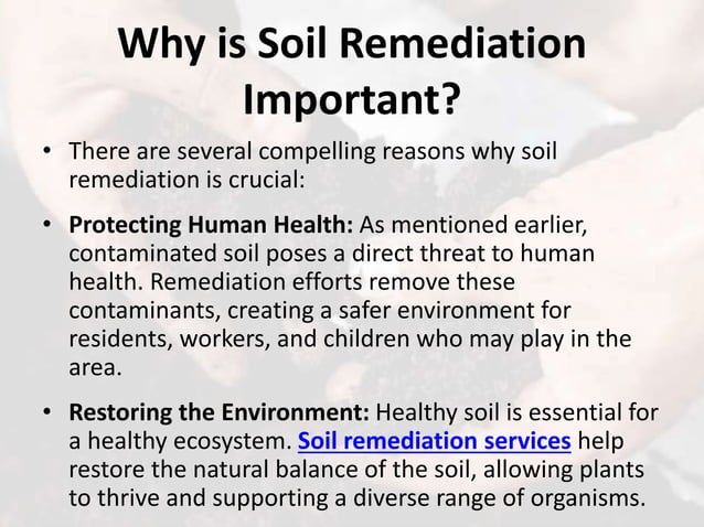 What Is Soil Remediation and Why Is It Important.pptx
