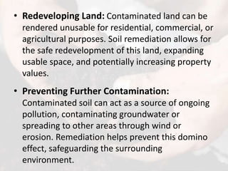 What Is Soil Remediation and Why Is It Important.pptx