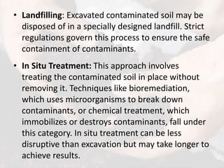 What Is Soil Remediation and Why Is It Important.pptx