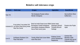 What is soil salinity.pptx