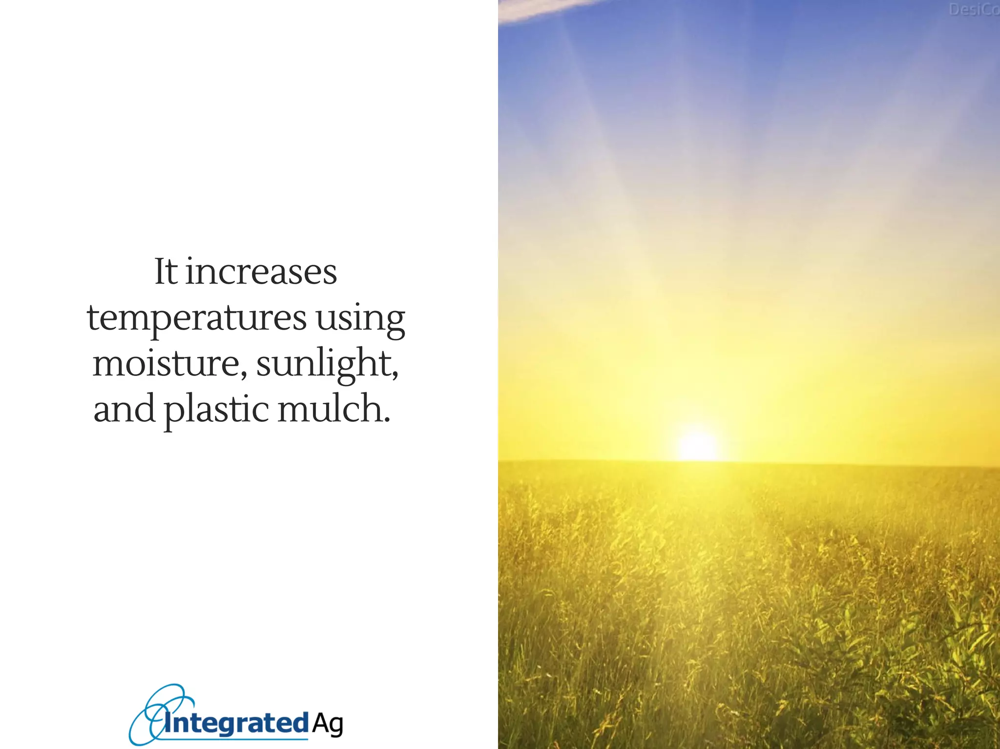 What is Solarization | PDF