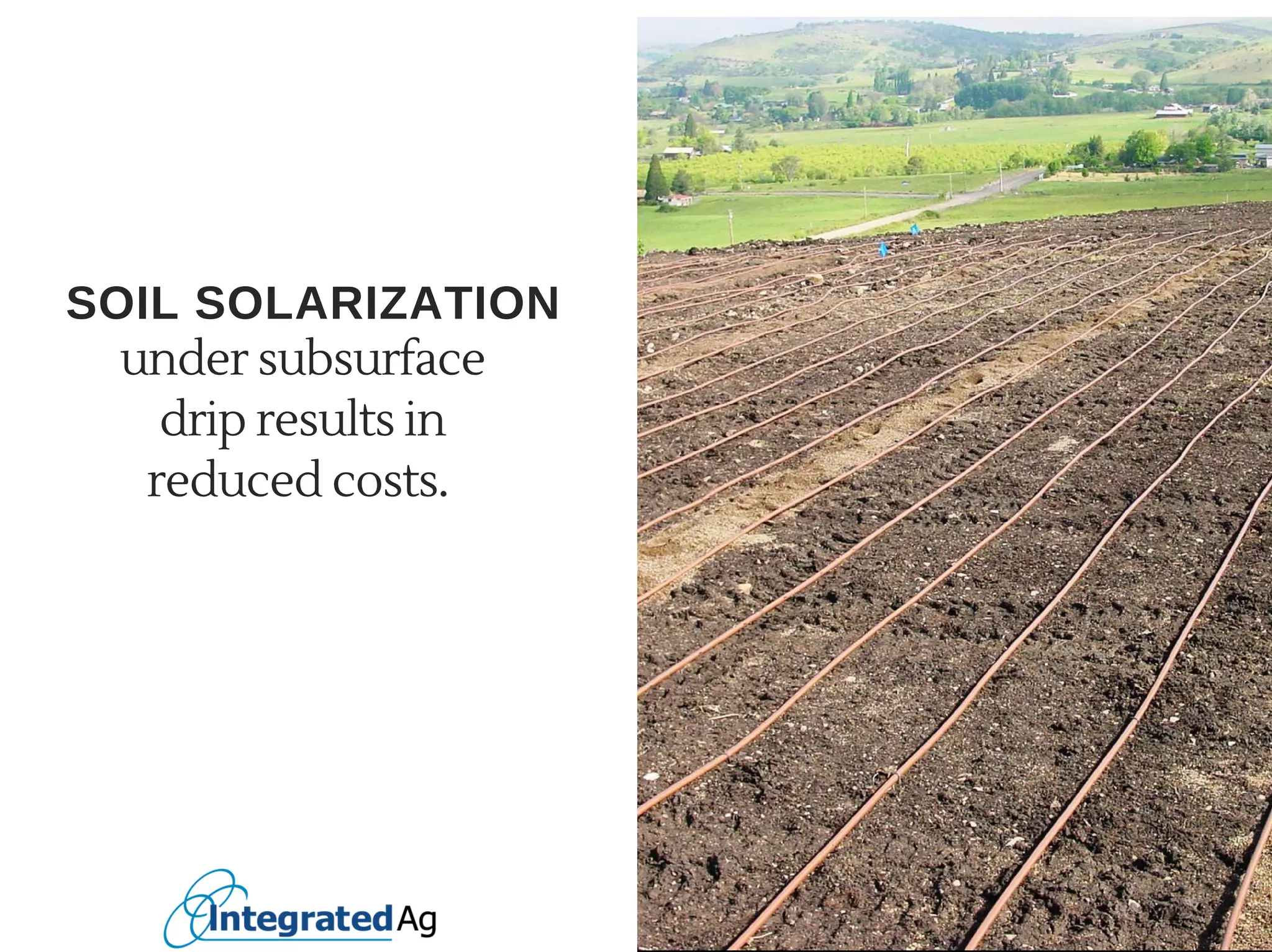 What is Solarization | PDF