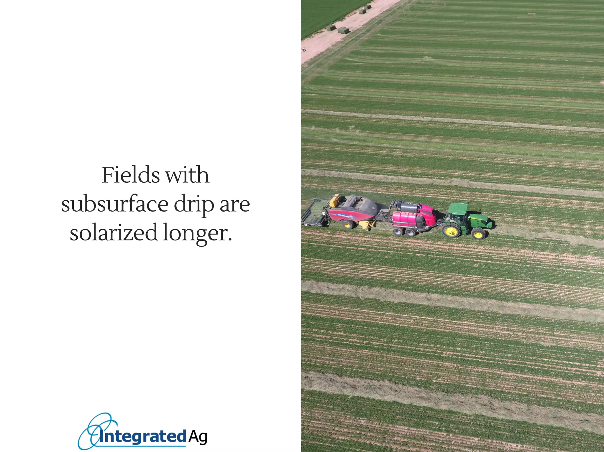 What is Solarization | PDF