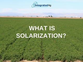 What is Solarization | PDF