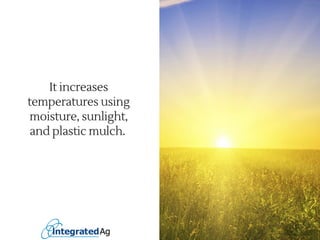 What is Solarization | PDF